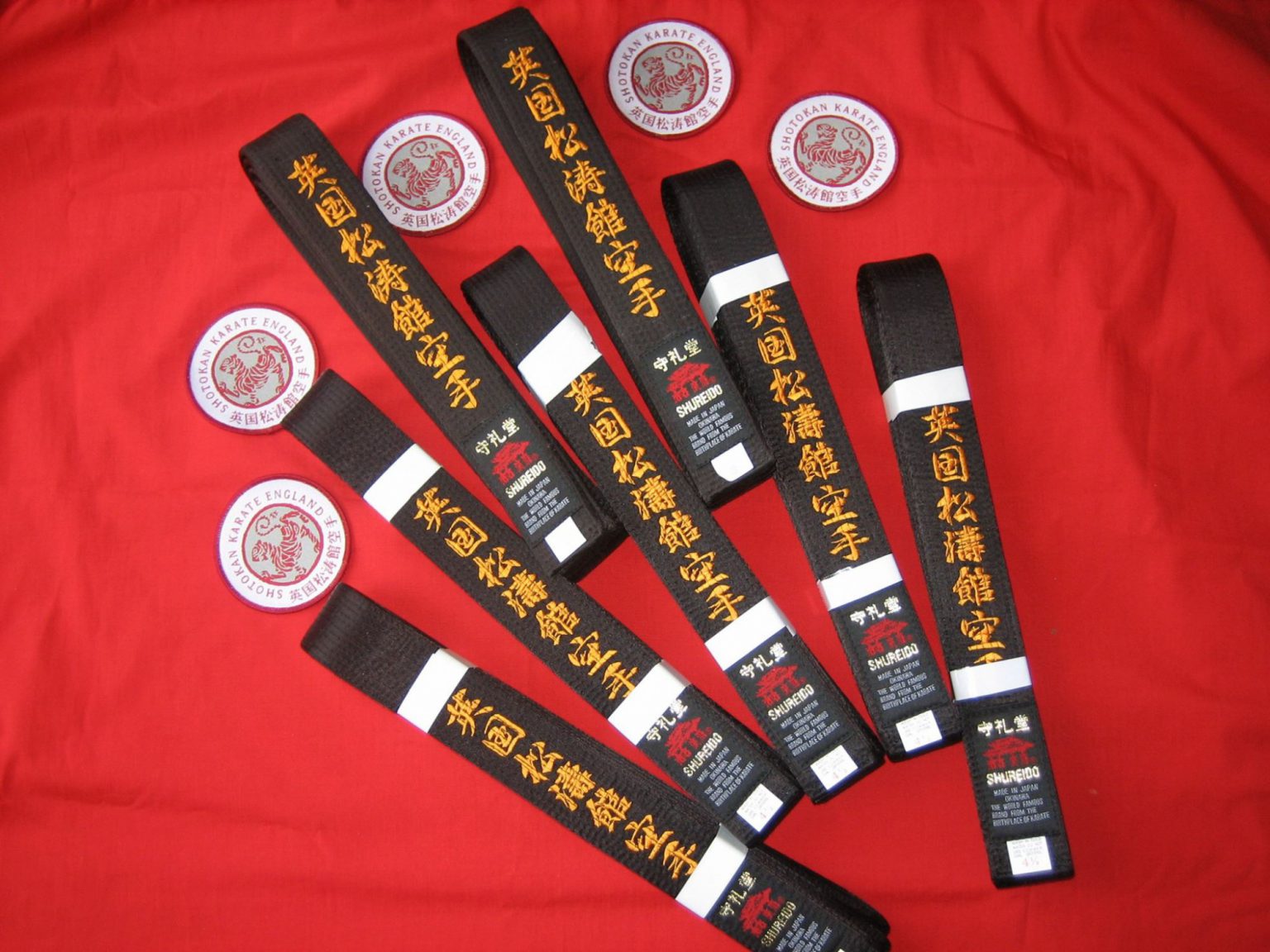 2024 New Dan Grades - Shotokan Karate